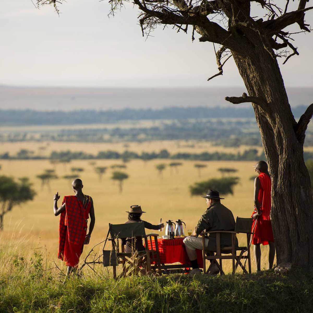 Safaris - Buutu Safaris